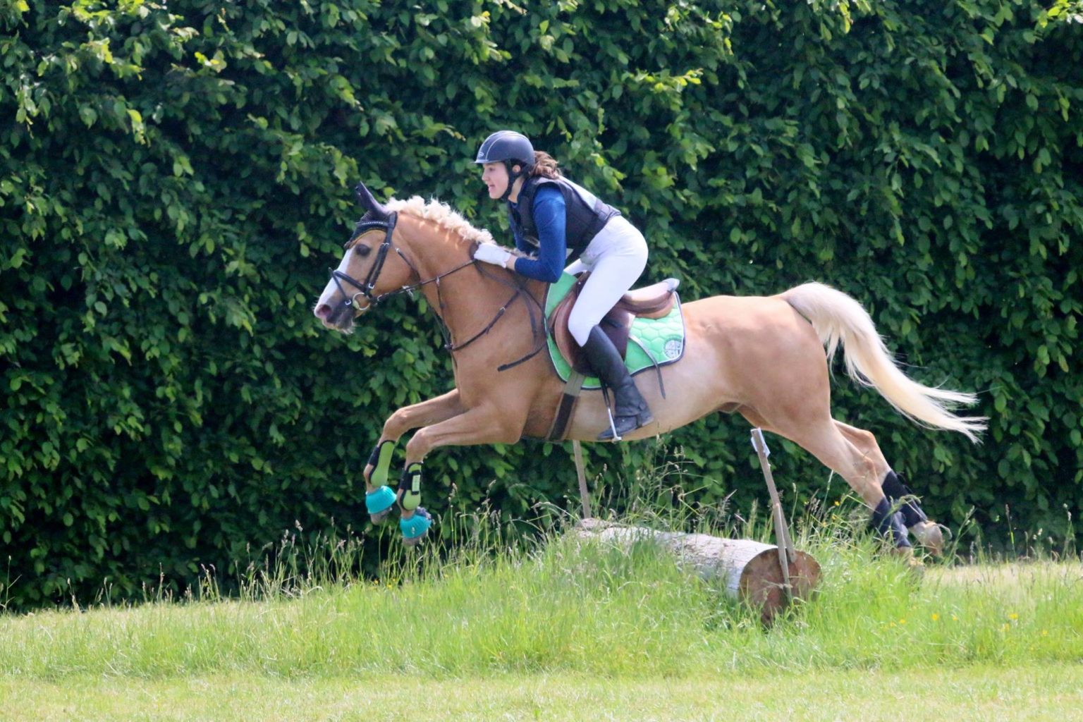 EQUITATION : Le poney club d'Amiens revient de Trie-Château les bras ...