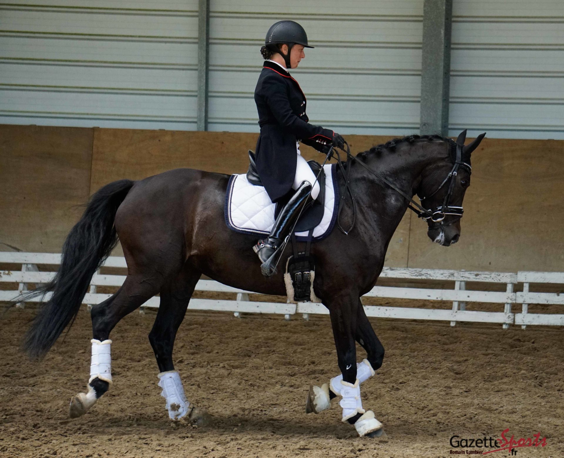 EQUITATION : Revivez le concours de dressage de ce dimanche - GazetteSports