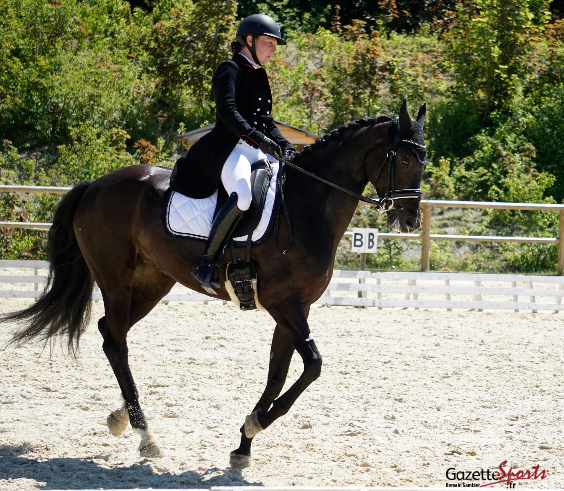 EQUITATION : Revivez le concours de dressage de ce dimanche - GazetteSports