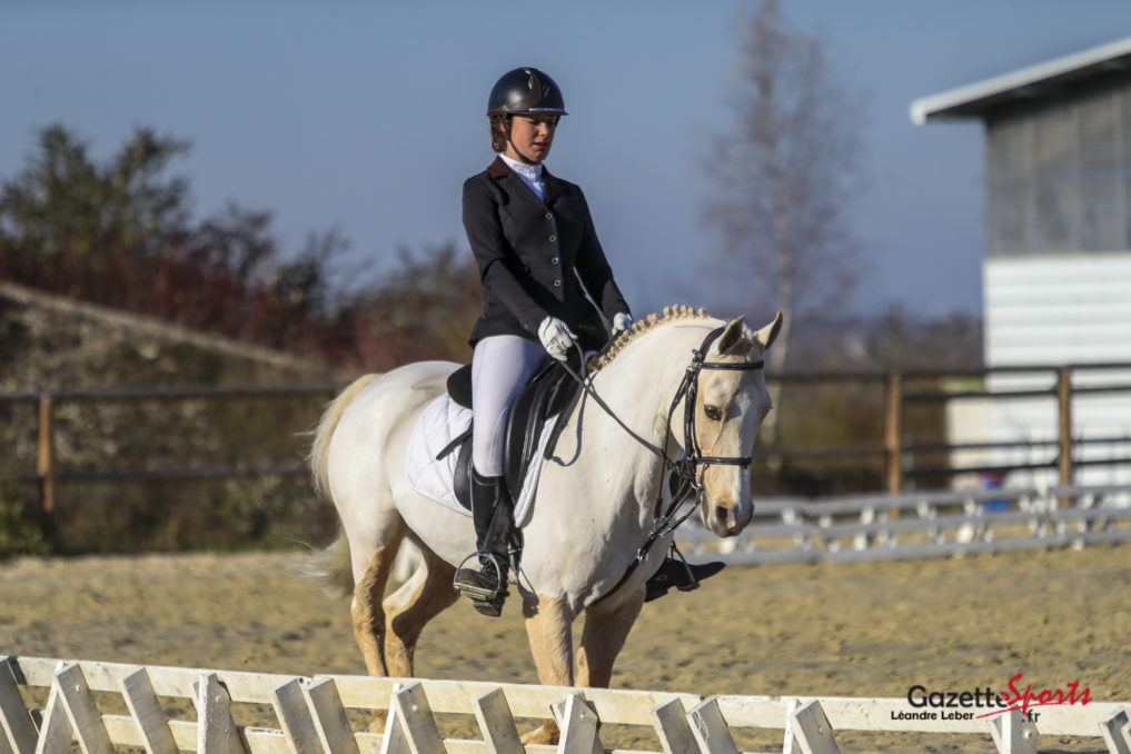 EQUITATION : Dressage au poney club d’Amiens - GazetteSports