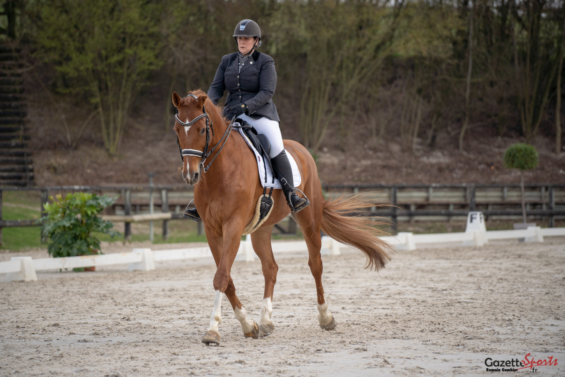 EQUITATION : Le CCE fait son come-back au CEP - GazetteSports