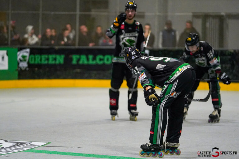 ROLLER-HOCKEY - Élite : Le point de la frustration pour les Green ...